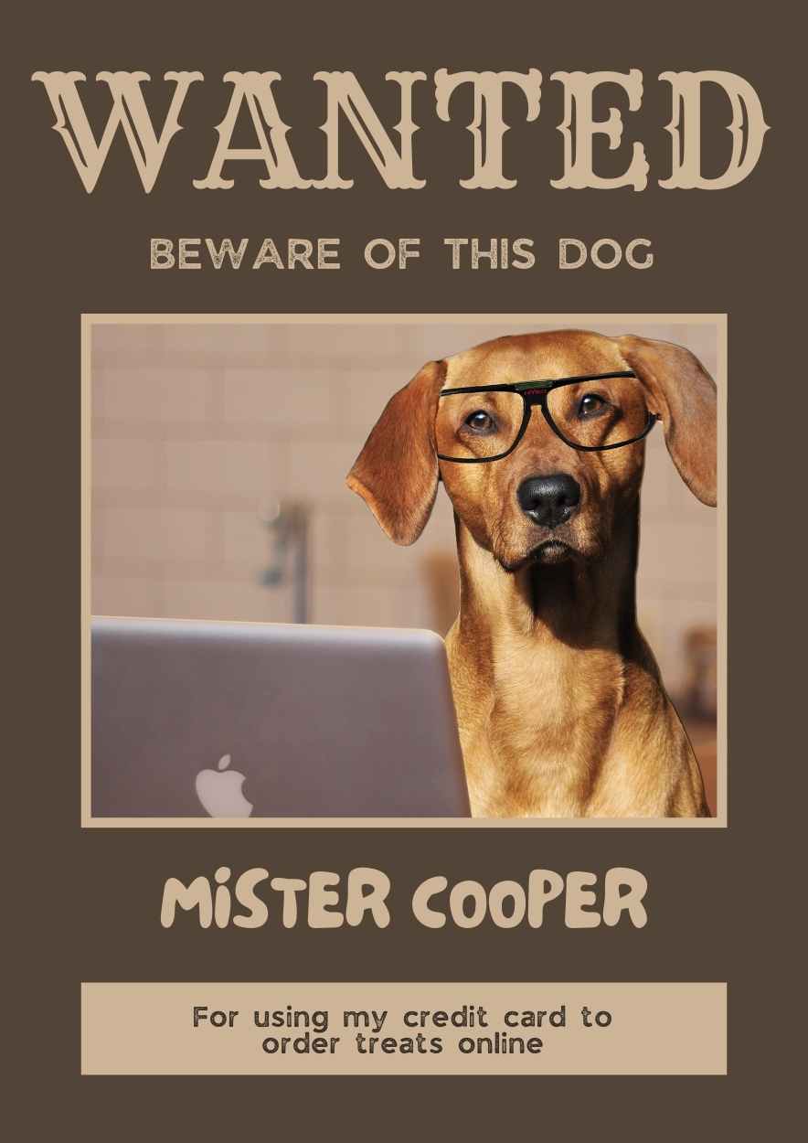 Poster Dicari yang Sederhana dan Lucu - Template Poster Gratis ...