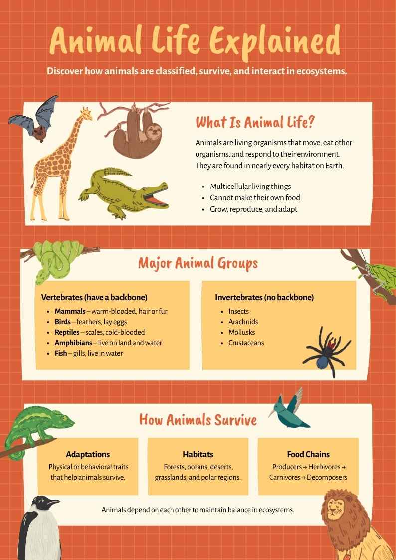 Template infografis kehidupan hewan gratis
