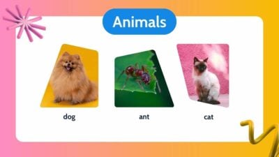Noun Slides for Grade 1. Free PPT & Google Slides Template — SlidesCarnival