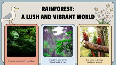 Animal Habitats Science Lesson for Elementary. Free PPT & Google Slides ...