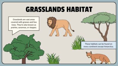 Animal Habitats Science Lesson for Elementary. Free PPT & Google Slides ...