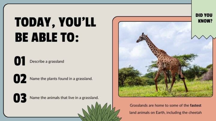 Animal Habitats Science Lesson for Elementary. Free PPT & Google Slides ...