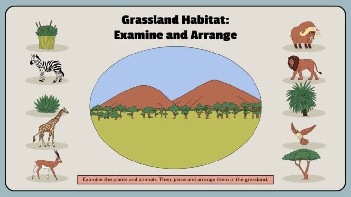 Animal Habitats Science Lesson for Elementary. Free PPT & Google Slides ...