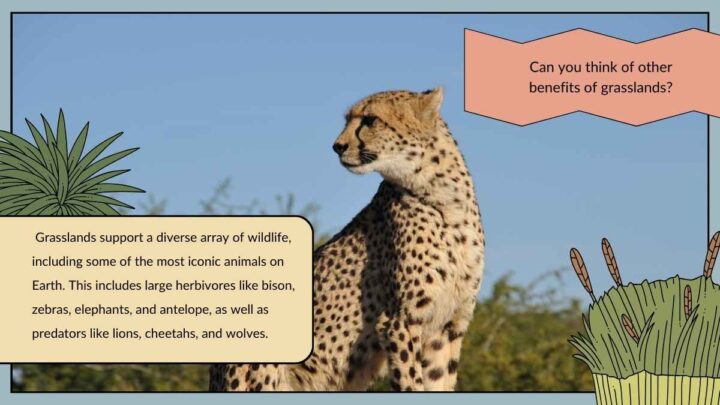 Animal Habitats Science Lesson for Elementary. Free PPT & Google Slides ...