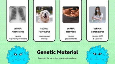 Bacteria and Viruses Lesson for Elementary. Free PPT & Google Slides ...