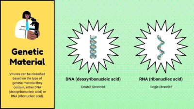 Bacteria and Viruses Lesson for Elementary. Free PPT & Google Slides ...