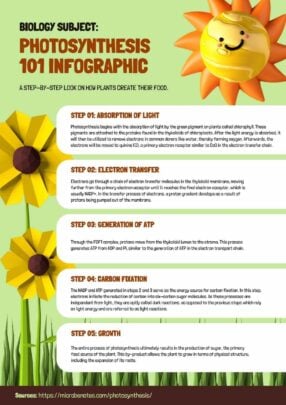 Biology Subject: Photosynthesis 101 Lesson Summary. Free PPT & Google ...
