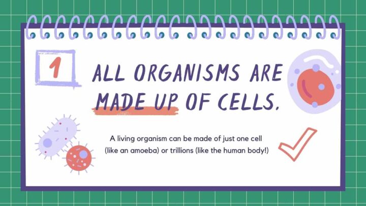 Cell Theory Science Lesson for Middle School. Free Lesson Slides ...