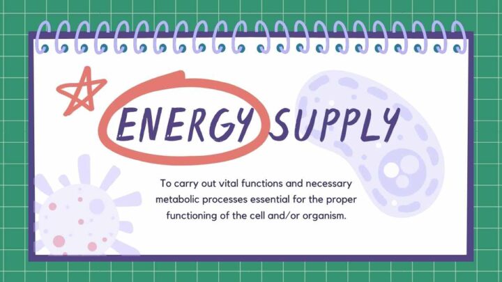 Cell Theory Science Lesson for Middle School. Free Lesson Slides ...
