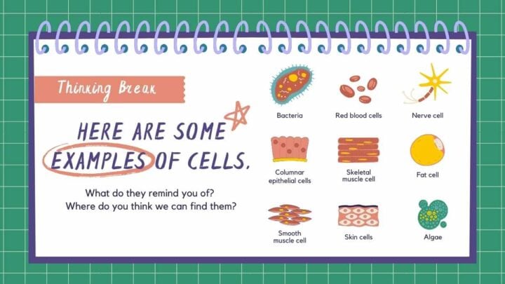 Cell Theory Science Lesson for Middle School. Free Lesson Slides ...