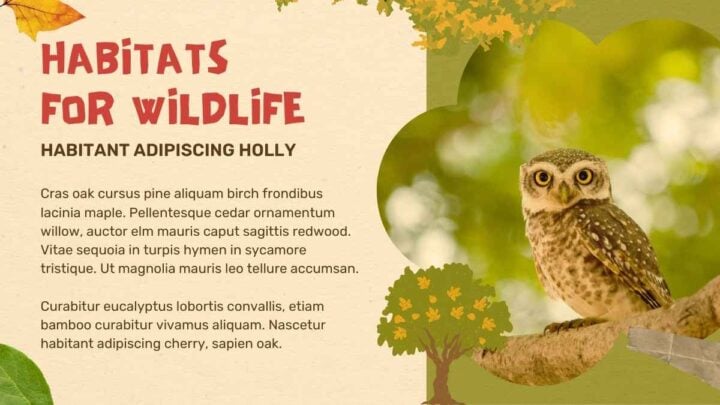 Parts & Types of Trees Nature Lesson. Free Slides Template — SlidesCarnival