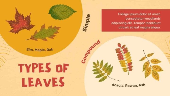 Parts & Types of Trees Nature Lesson. Free Slides Template — SlidesCarnival