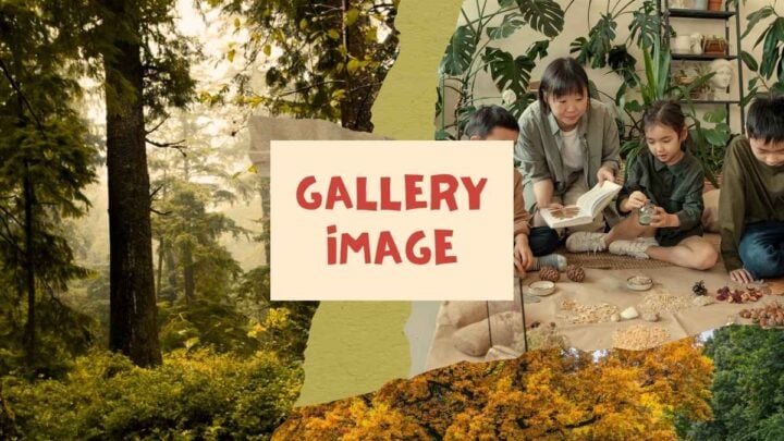 Parts & Types of Trees Nature Lesson. Free Slides Template — SlidesCarnival