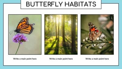 Butterfly Life Cycle Infographic. Free PPT & Google Slides Template ...