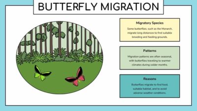 Butterfly Life Cycle Infographic. Free PPT & Google Slides Template ...