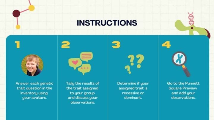 Genetic Traits and Inheritance Lesson for Middle School. Lesson ...