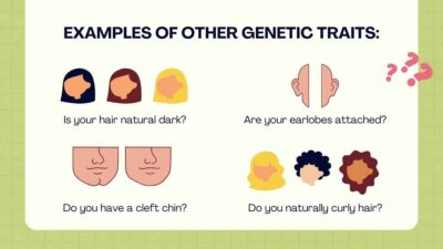 Genetic Traits and Inheritance Lesson for Middle School. Lesson ...
