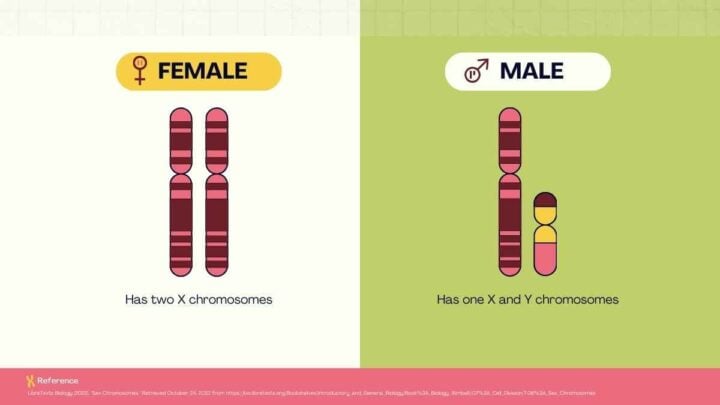Genetic Traits and Inheritance Lesson for Middle School. Lesson ...