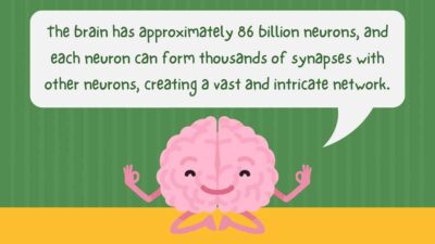 Slides About The Brain. Free Slides Template — SlidesCarnival