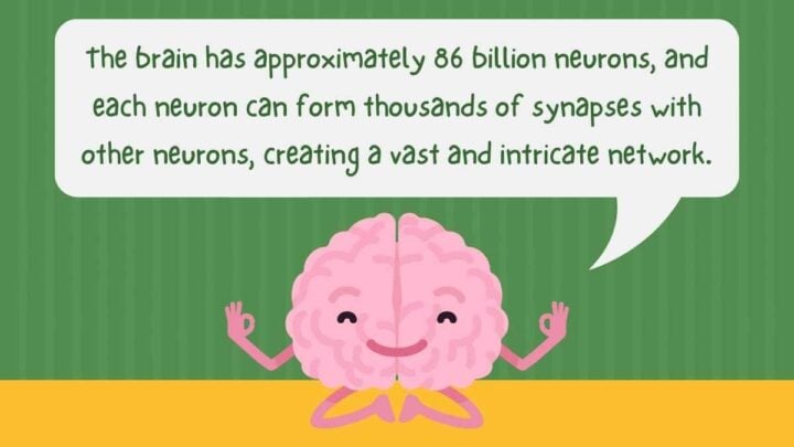 Slides About The Brain. Free Slides Template — SlidesCarnival