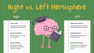 Slides About The Brain. Free Slides Template — SlidesCarnival