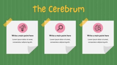 Slides About The Brain. Free Slides Template — SlidesCarnival