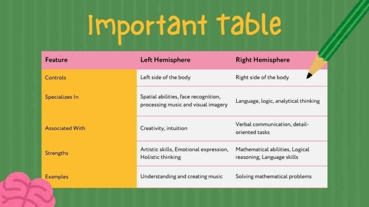 Slides About The Brain. Free Slides Template — SlidesCarnival