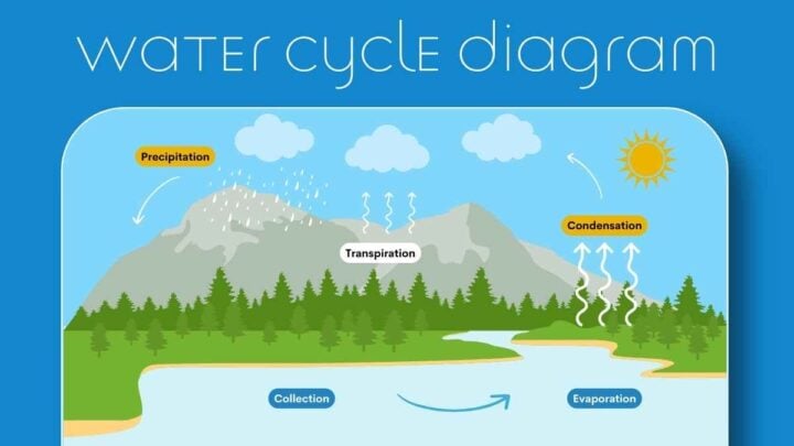 Water Cycle. Slides Template — SlidesCarnival
