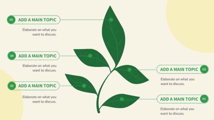 Leaf Growth Process Diagram. Free PPT & Google Slides Template ...
