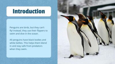 Life Cycle of Penguin Lesson. Free PPT & Google Slides Template ...