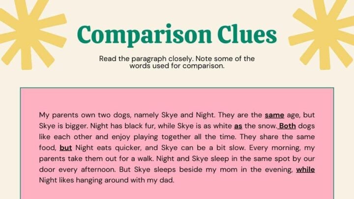Making Connections in Informational Text Lesson for High School. Free ...
