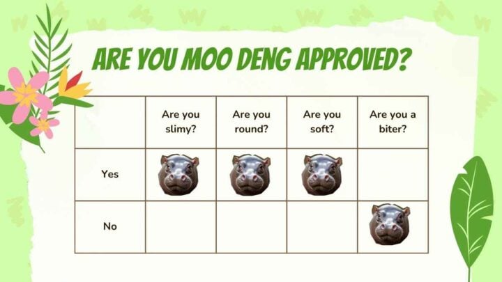 Cute Moo Deng Background. Free PPT & Google Slides Template ...