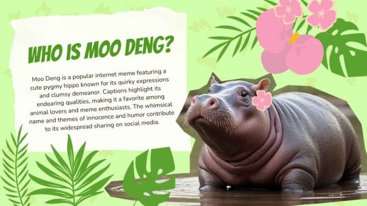 Cute Moo Deng Background. Free PPT & Google Slides Template ...
