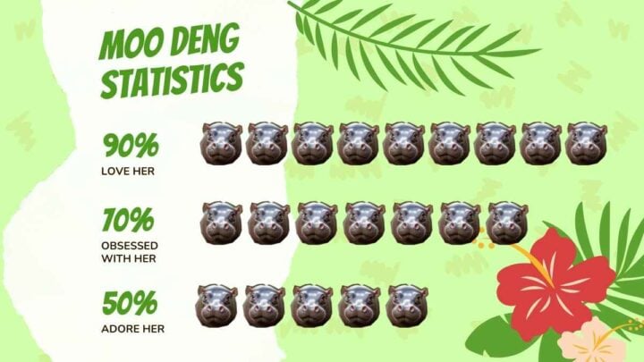 Cute Moo Deng Background. Free PPT & Google Slides Template ...