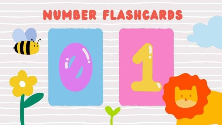 Cute Number Flashcards. Free Flashcards Template — SlidesCarnival