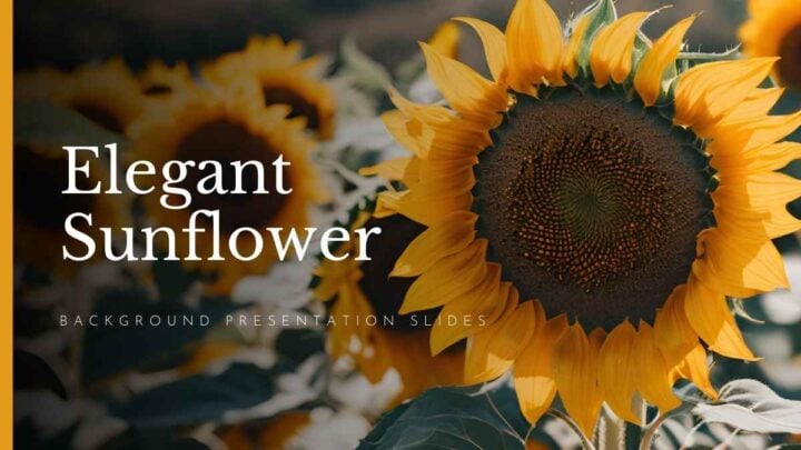 Elegant Sunflower Background. Free PPT & Google Slides Template ...