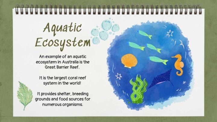 Exploring the Circle of Life: Food Chain Science Lesson for Elementary ...