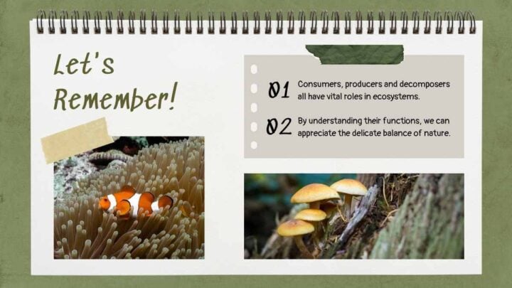 Exploring the Circle of Life: Food Chain Science Lesson for Elementary ...