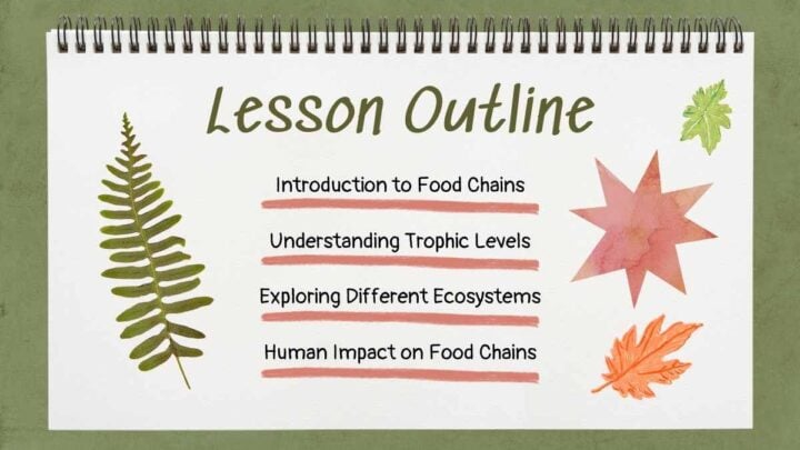 Exploring the Circle of Life: Food Chain Science Lesson for Elementary ...