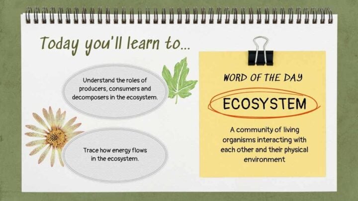 Exploring the Circle of Life: Food Chain Science Lesson for Elementary ...