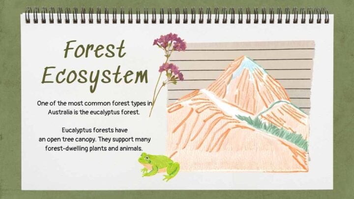 Exploring the Circle of Life: Food Chain Science Lesson for Elementary ...