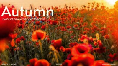 Seasonal Classroom Newsletter. Free PPT & Google Slides Template ...