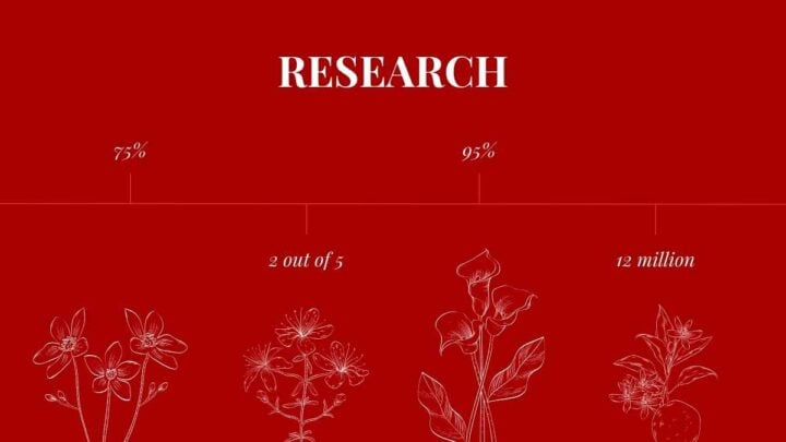 Elegant Red Background. Free PPT & Google Slides Template — SlidesCarnival