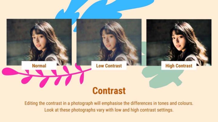 Floral Introduction to Photo Editing Lesson. Free PPT & Google Slides ...