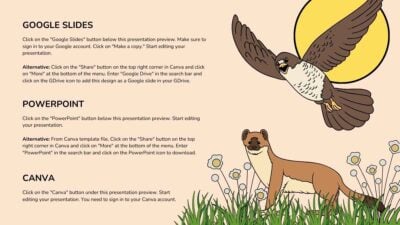 Food Webs Lesson for Elementary. Free PPT & Google Slides Template ...