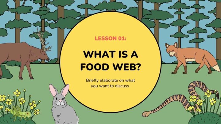 Food Webs Lesson for Elementary. Free PPT & Google Slides Template ...