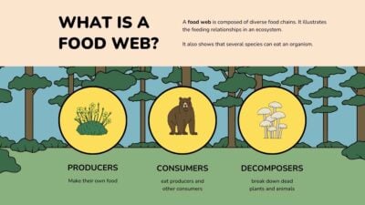 Food Webs Lesson for Elementary. Free PPT & Google Slides Template ...