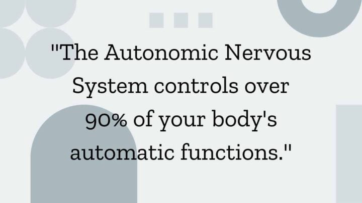 Nervous System Lesson Slides. Free PPT & Google Slides Template ...