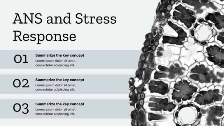Nervous System Lesson Slides. Free PPT & Google Slides Template ...