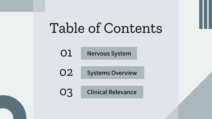Nervous System Lesson Slides. Free PPT & Google Slides Template ...